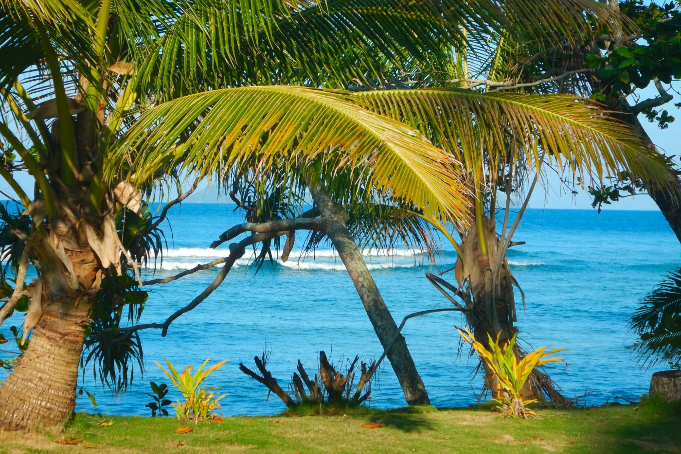 News from the island – Lawaki Beach House – Beqa – Fiji