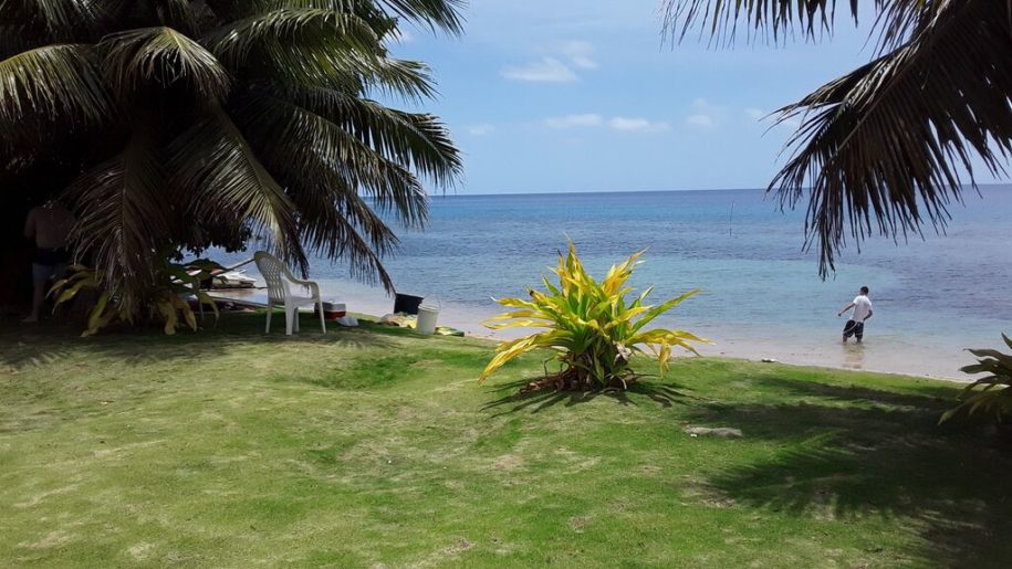 Coral Reef Surveys 2020 with Marine Ecology Fiji – Lawaki Beach House ...