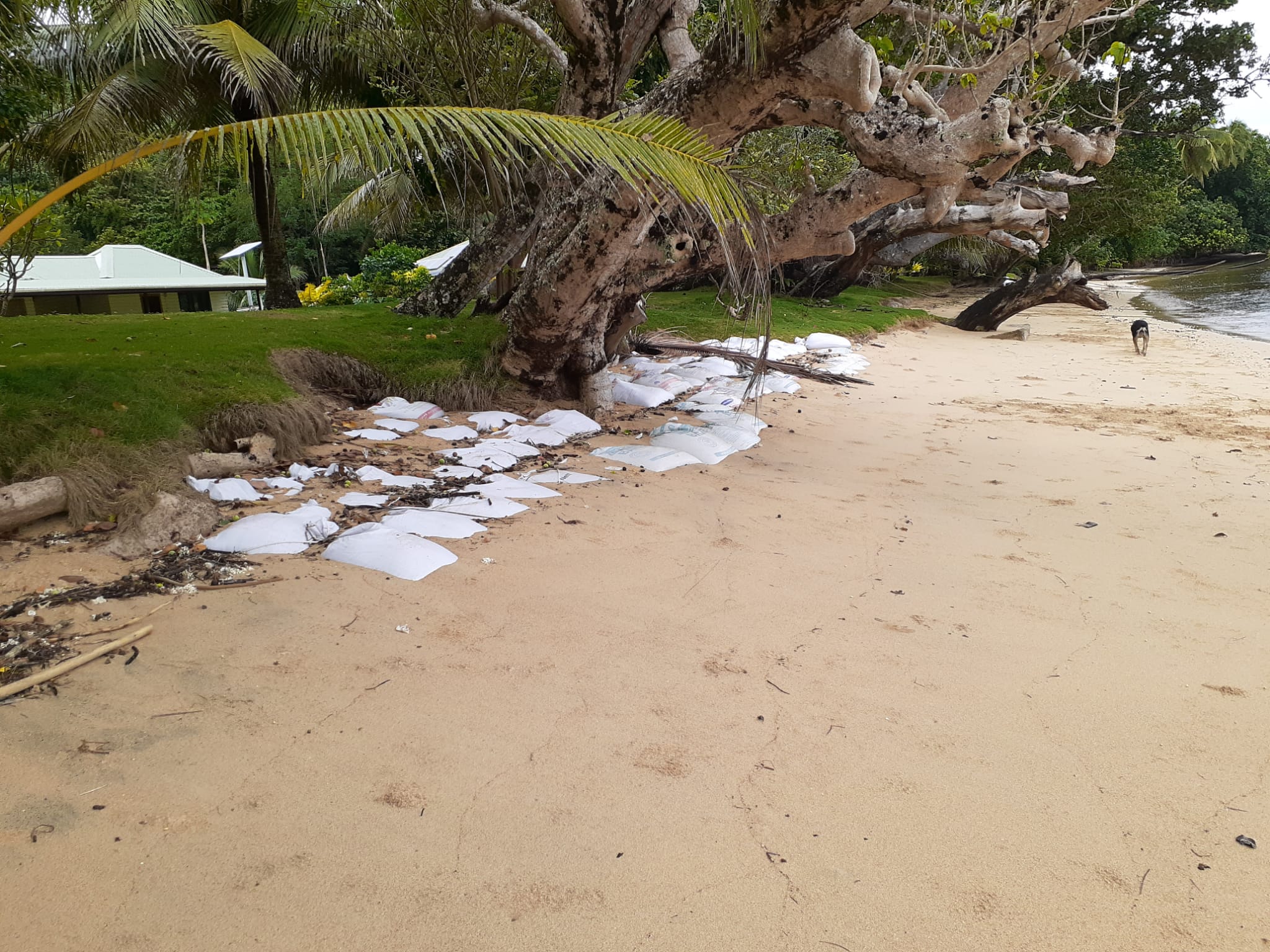 Some impressions from Lawaki during and after TC Harold – Lawaki Beach ...