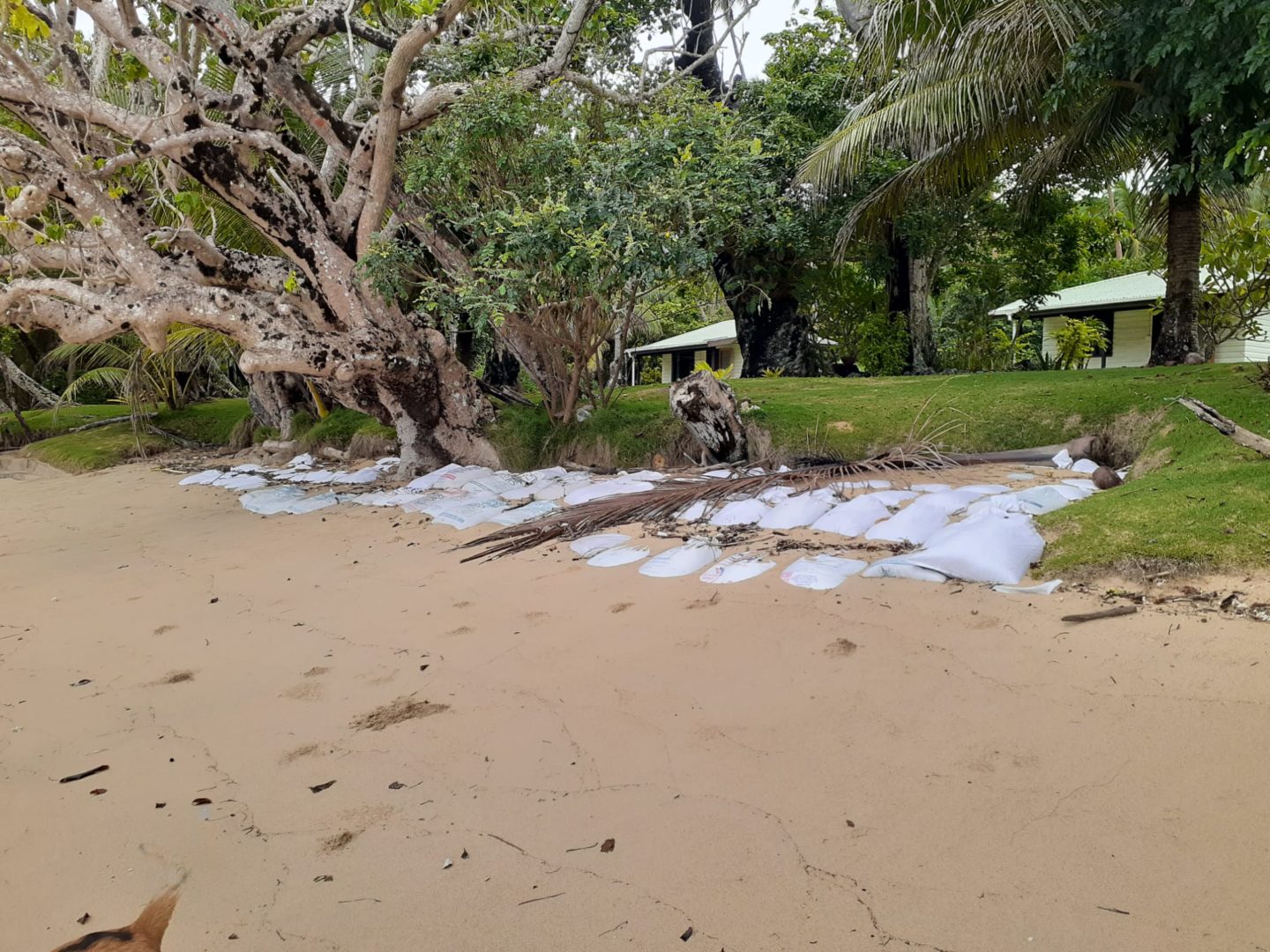 News from the island - Lawaki Beach House - Beqa - Fiji